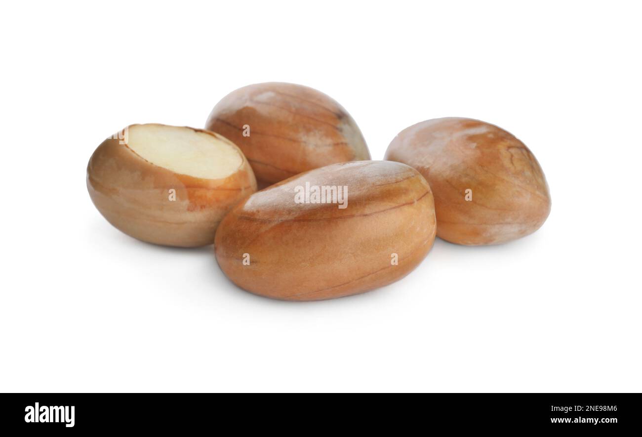Fresh raw jackfruit seeds on white background Stock Photo - Alamy