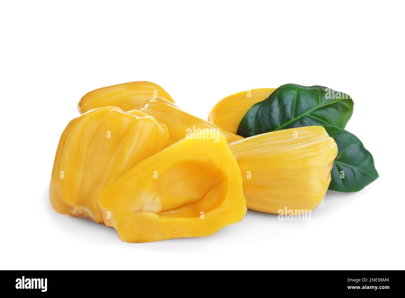 Jackfruit leaf Cut Out Stock Images & Pictures - Alamy
