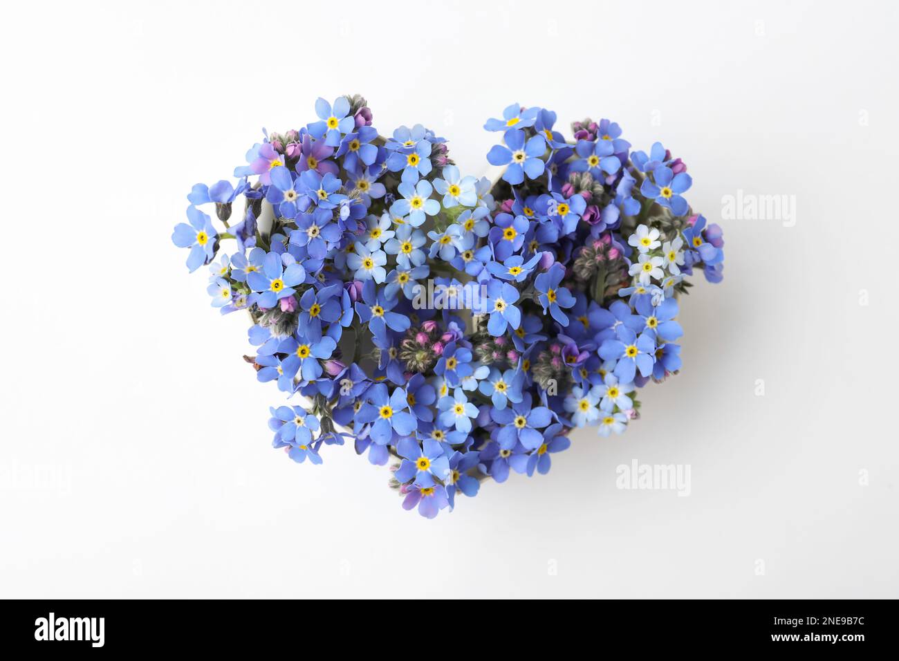 Heart of beautiful blue forget-me-not flowers isolated on white, top ...