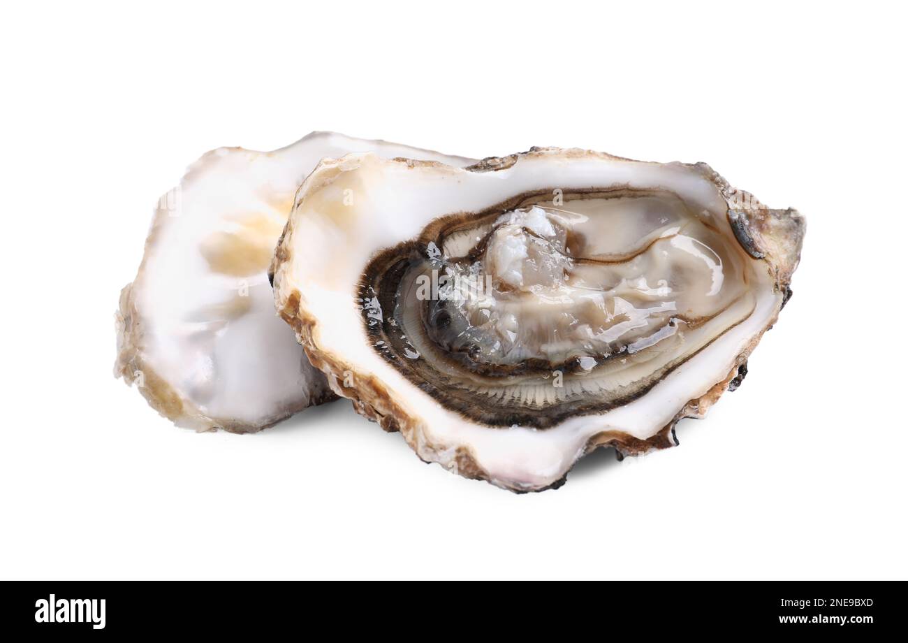 Fresh raw open oyster on white background Stock Photo - Alamy