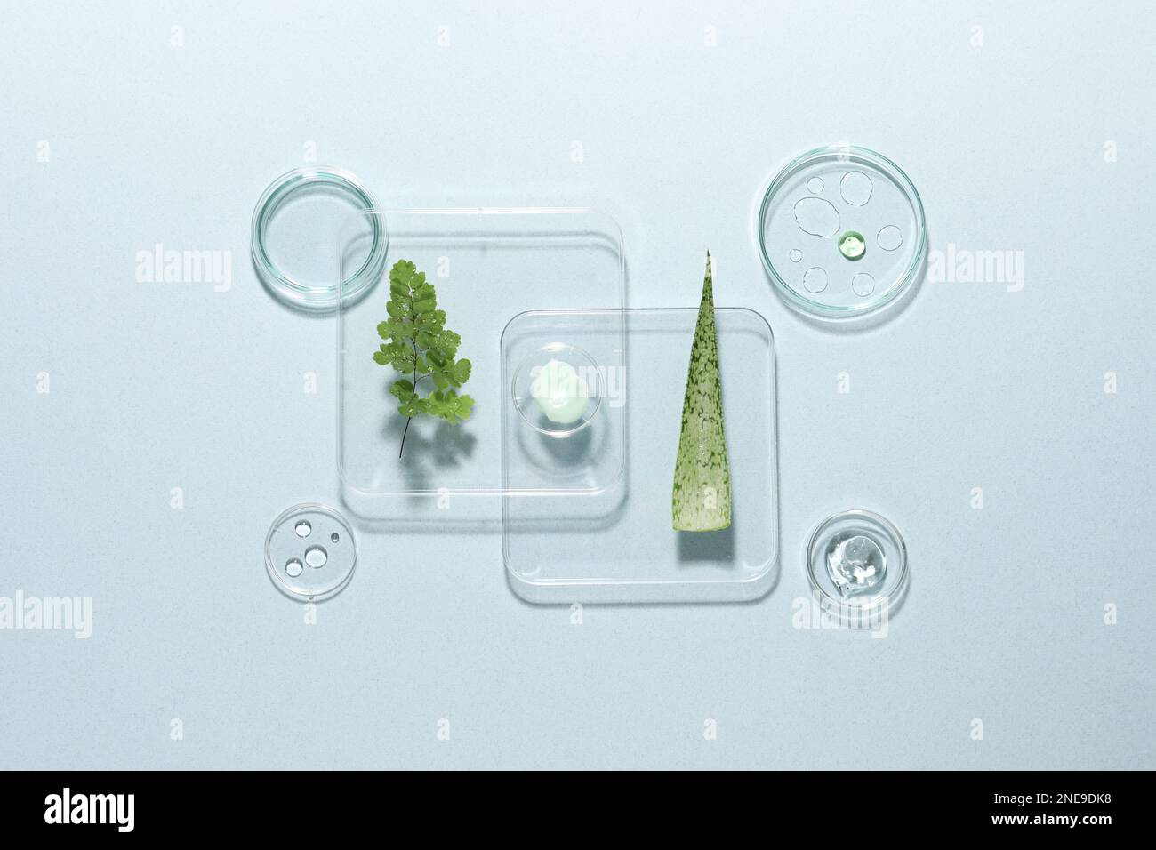 Organic cosmetic product, natural ingredients and laboratory glassware ...
