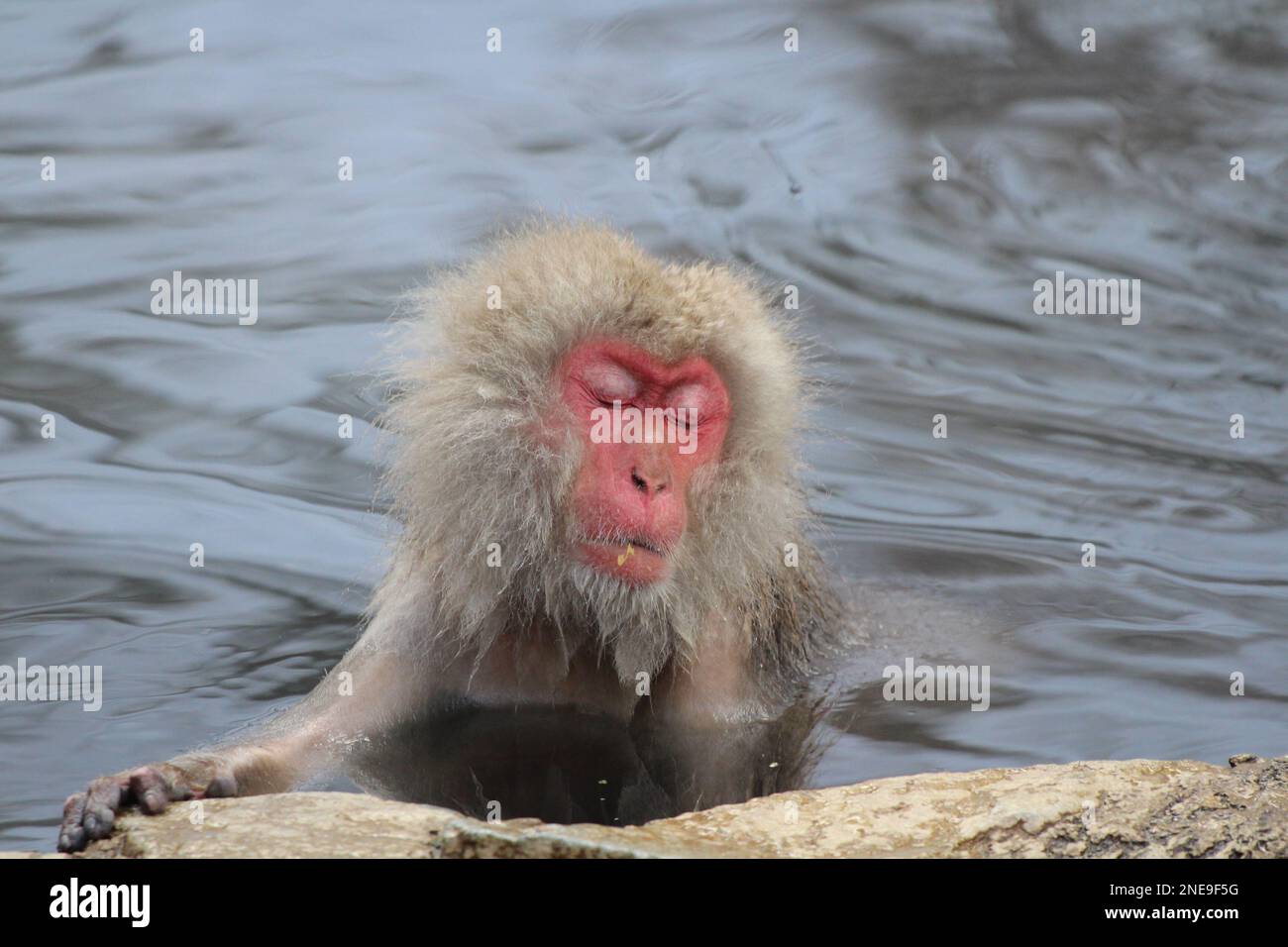 Japan hot spring winter hi-res stock photography and images - Alamy