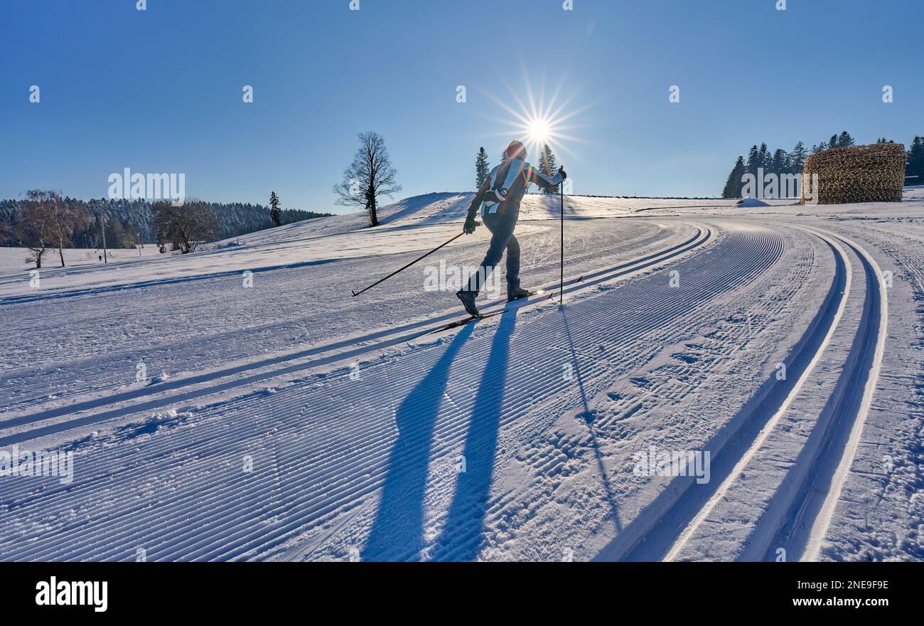 nice, active woman cross country skiing in the Bregenz Forest Mountains ...