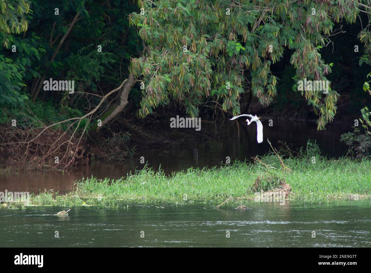 Flying low over calm river hi-res stock photography and images - Alamy