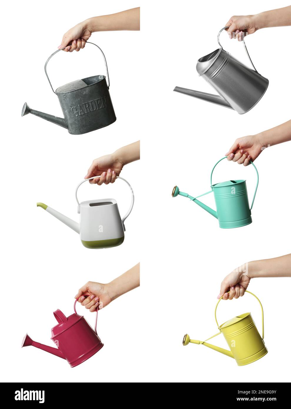 Watering photos Cut Out Stock Images & Pictures - Alamy