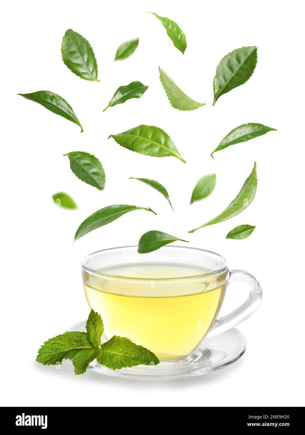 Cup of hot tea and falling green leaves on white background Stock Photo ...