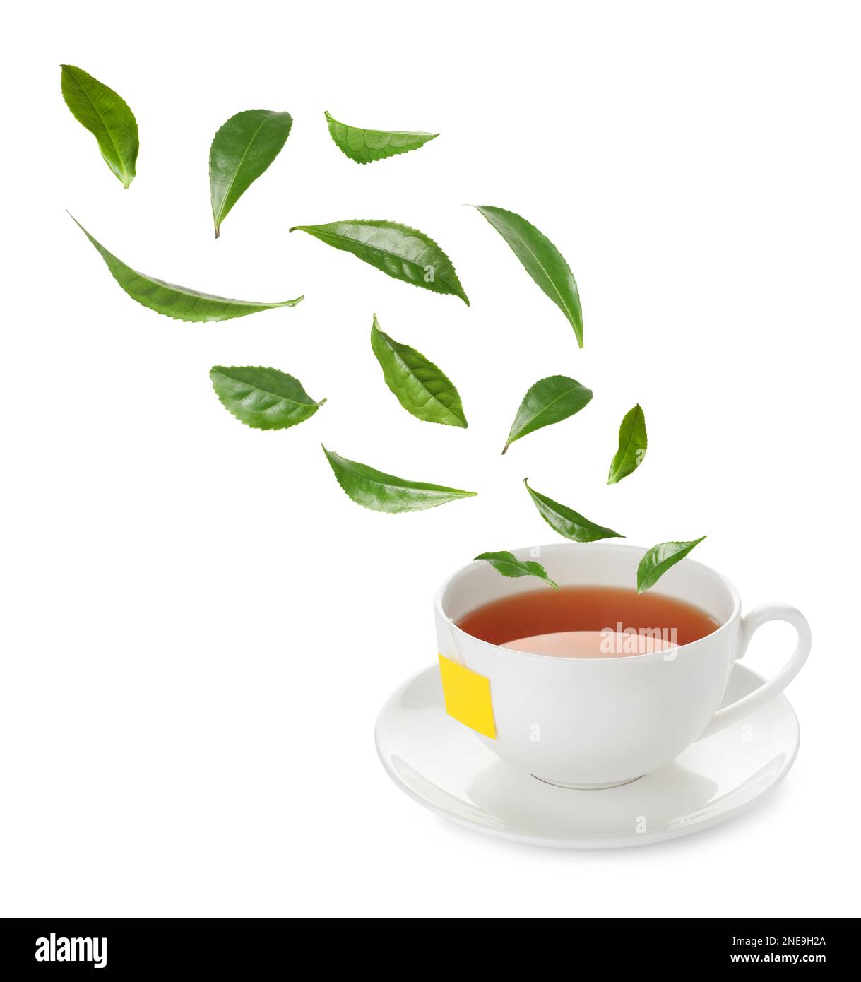 Cup of hot tea and falling green leaves on white background Stock Photo ...