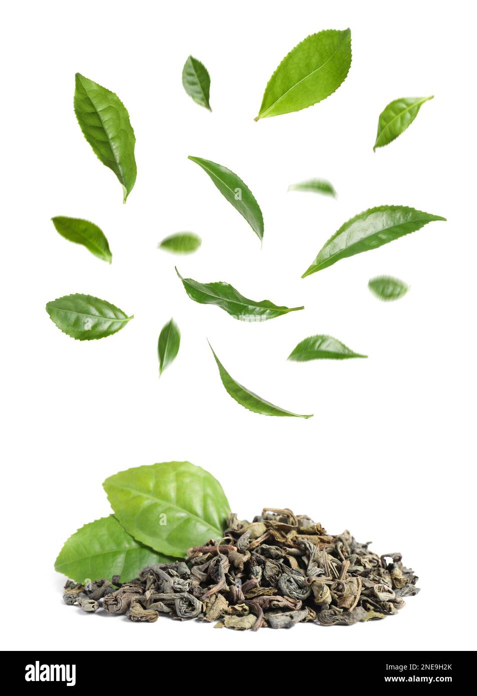 Fresh Tea Leaves Png