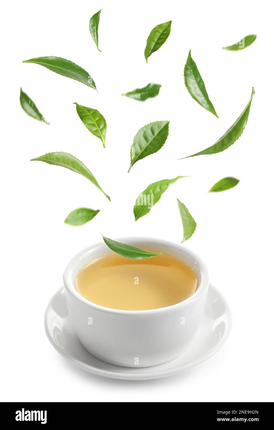Cup of hot tea and falling green leaves on white background Stock Photo ...