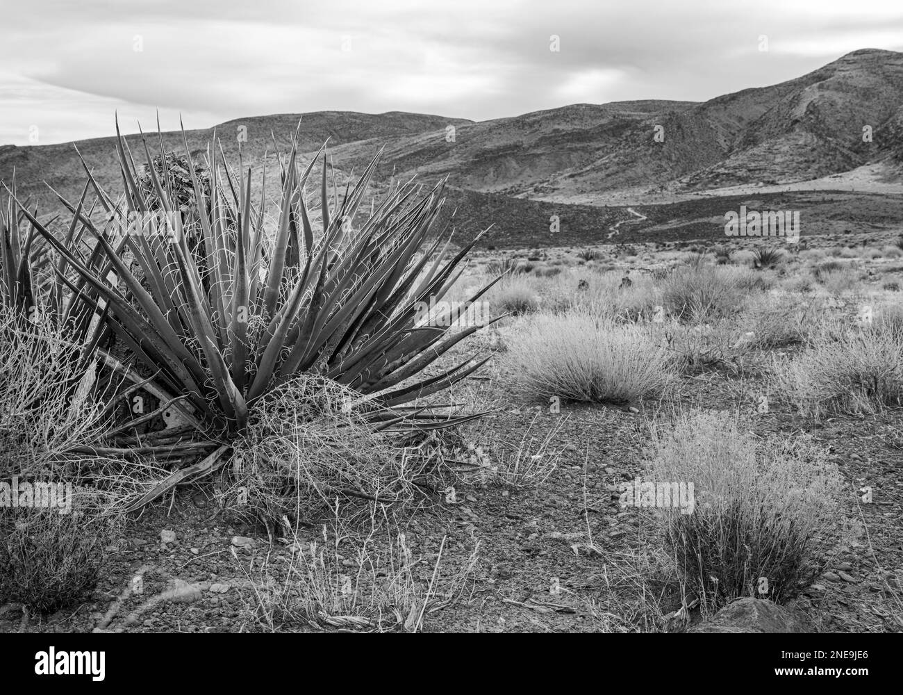 America nature landscape Black and White Stock Photos & Images - Alamy