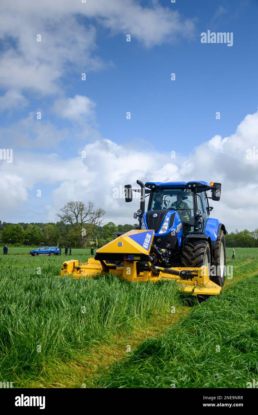 New Holland tractor with front mounted mower mowing a field of rye ...