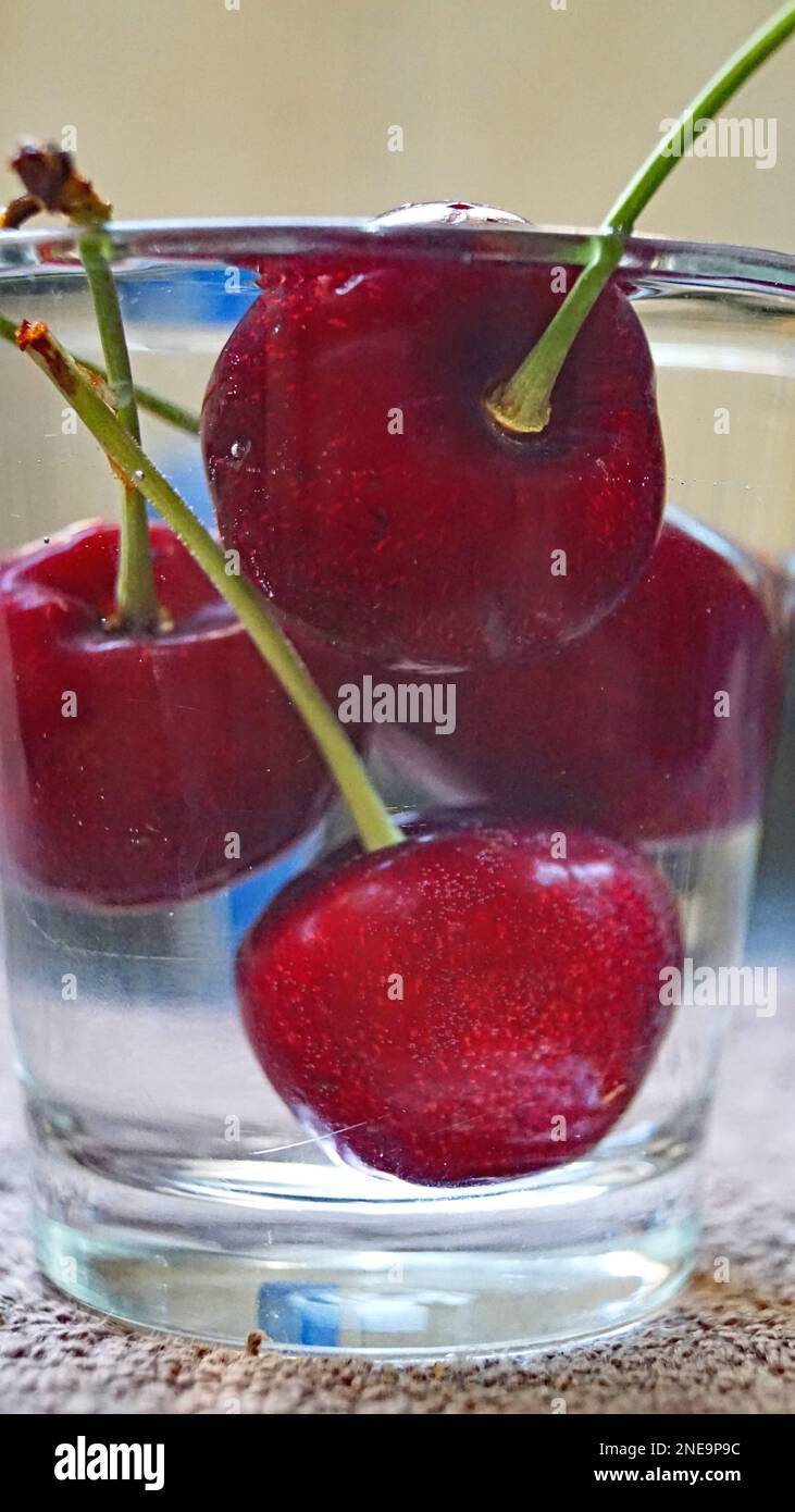 cherries submerged in water Stock Photo - Alamy
