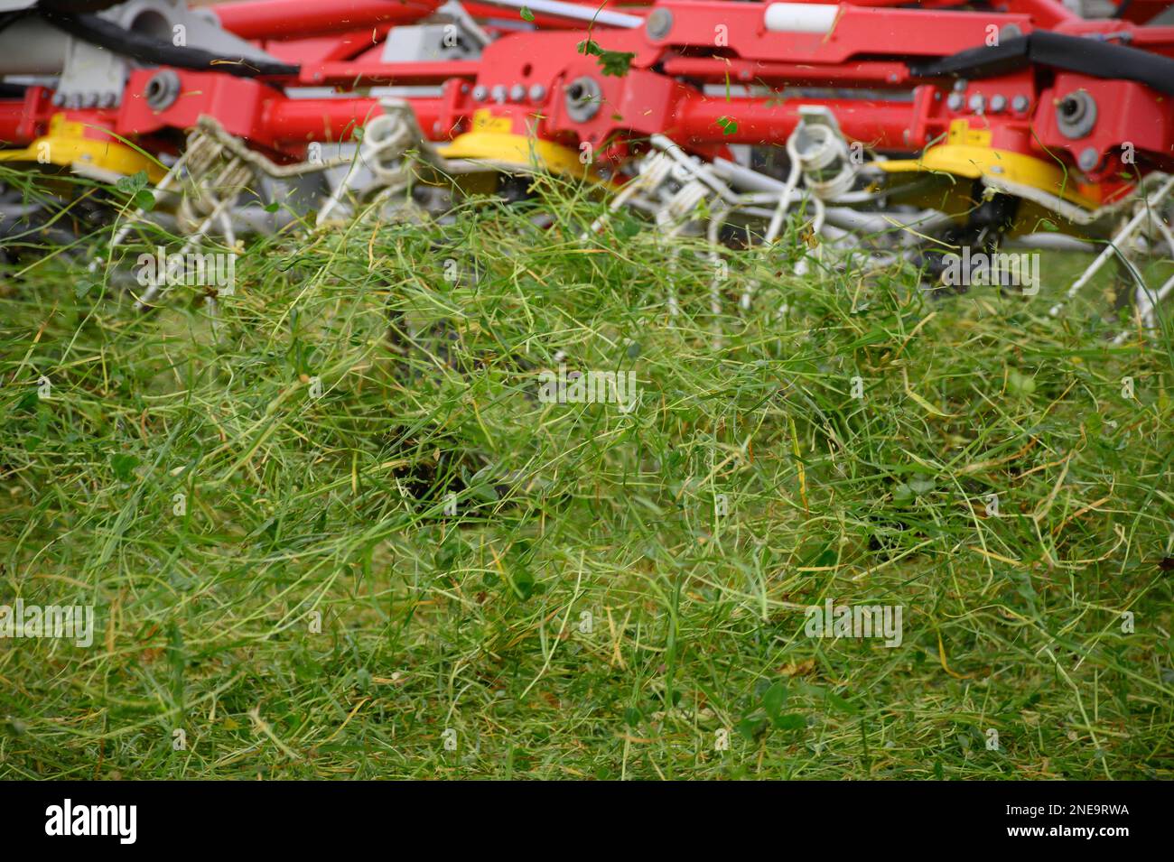 Farm machine spreading out grass after mowing to wilt it before ...