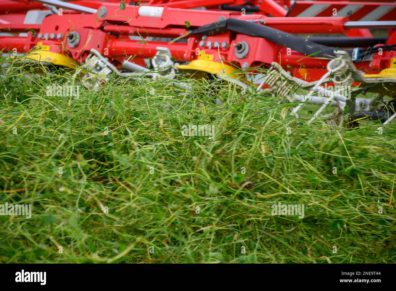 Farm machine spreading out grass after mowing to wilt it before ...