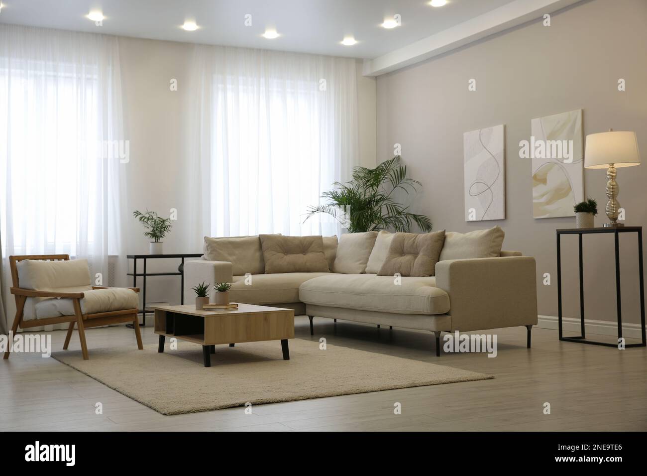 Big comfortable sofa in living room. Interior design Stock Photo - Alamy