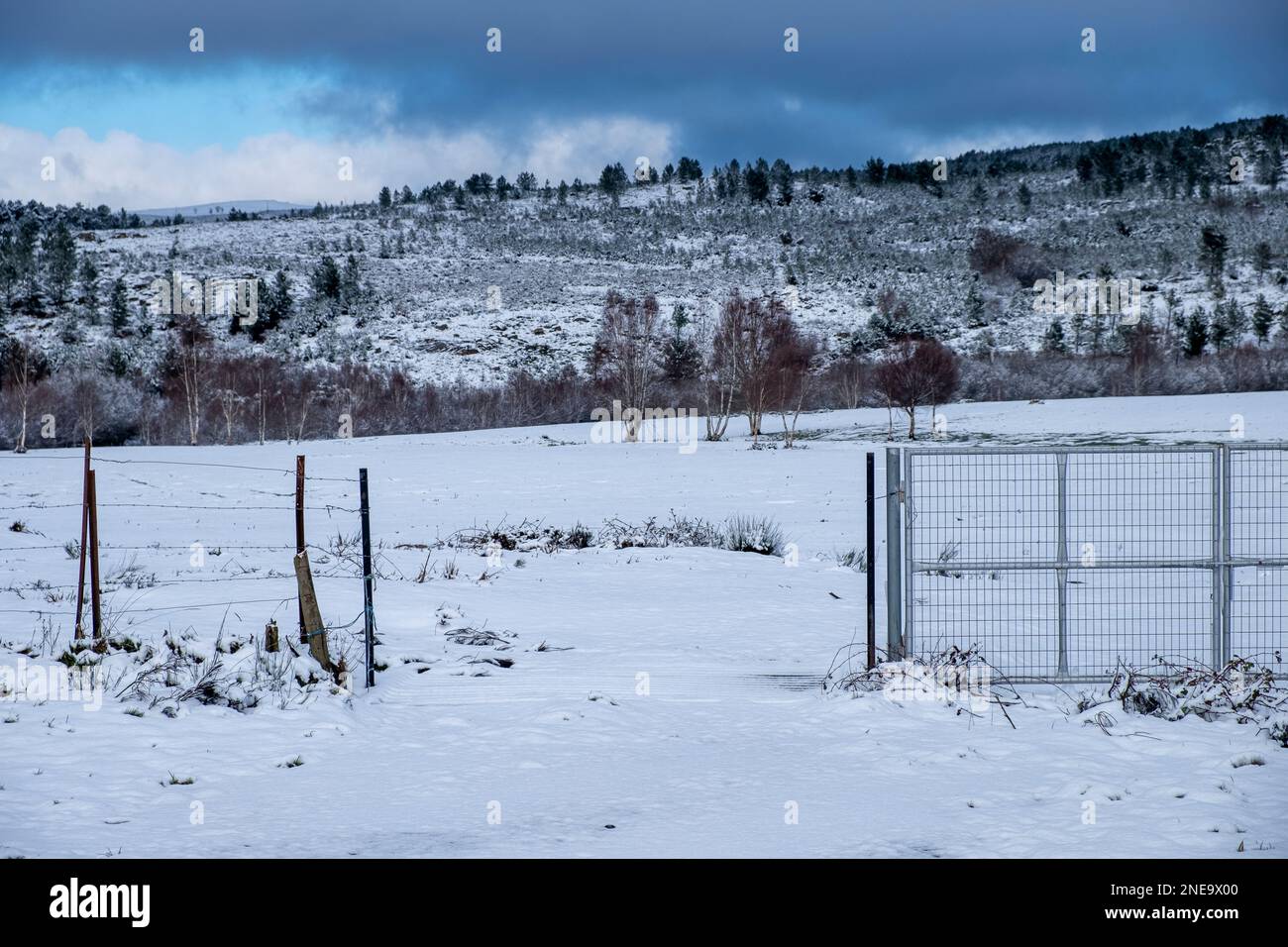Gate of an open farm on a snowy day Stock Photo - Alamy