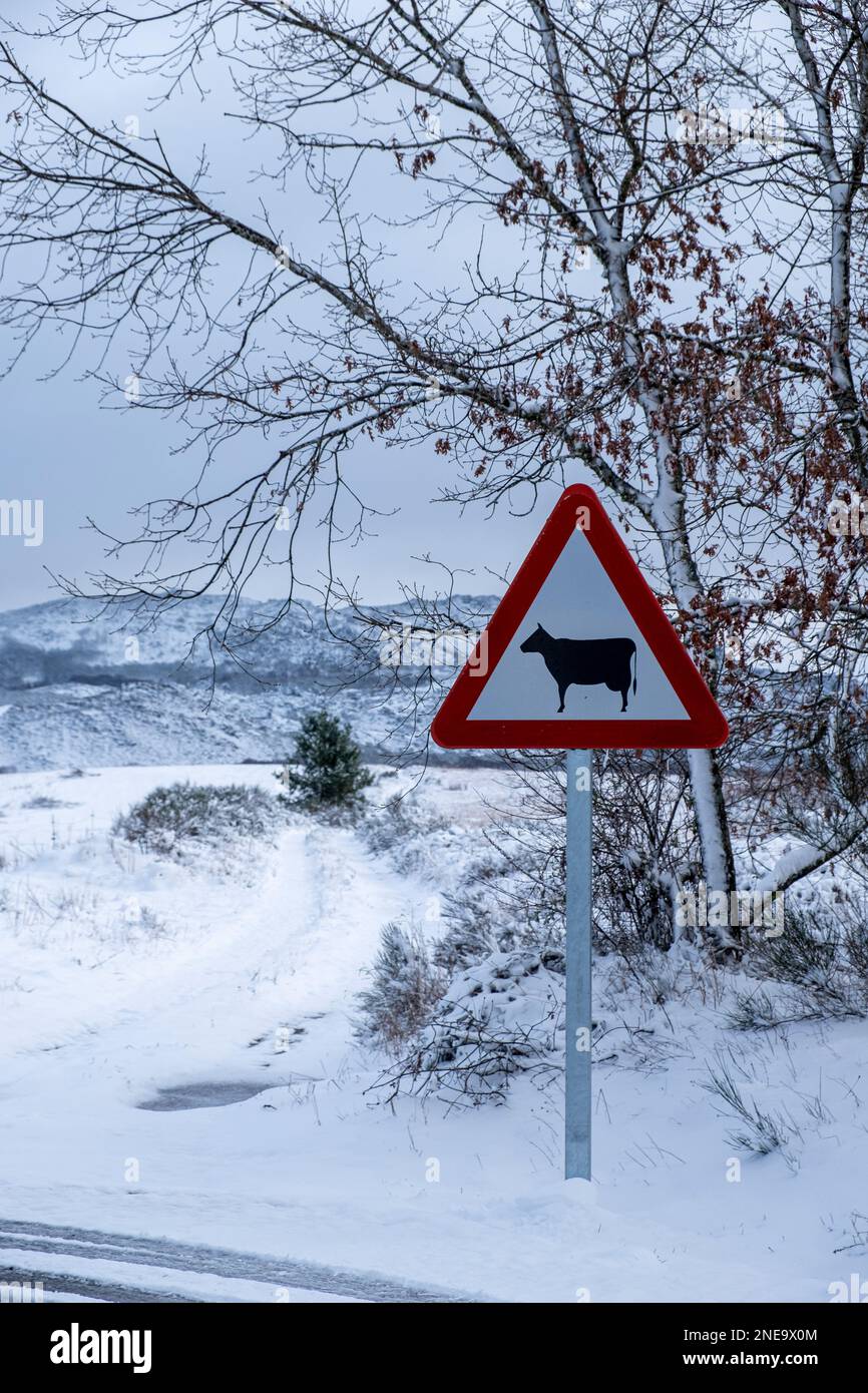 traffic sign on a snowy road, winter transport concept Stock Photo - Alamy