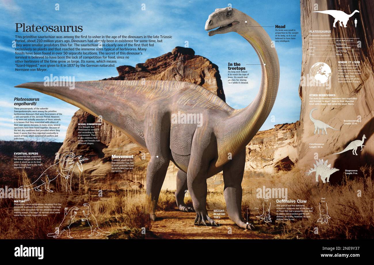 First dinosaur triassic period hi-res stock photography and images - Alamy