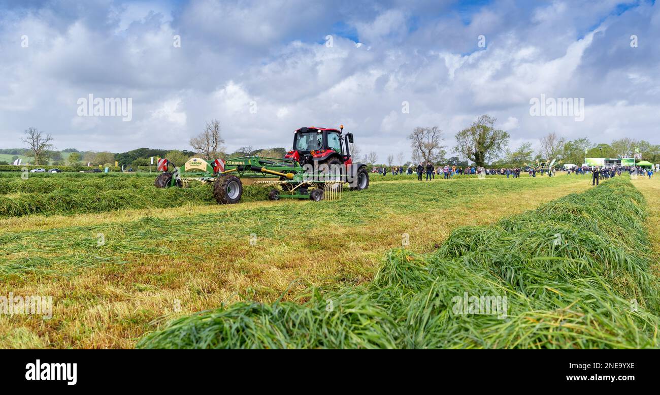 Rowing up grass for silage at a grassland demonstration day, Dumfries ...