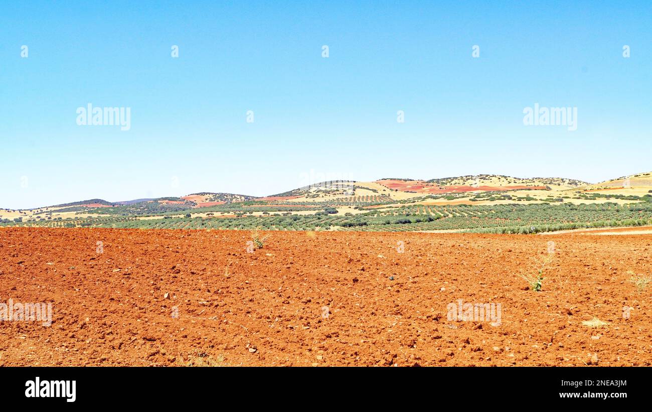 Fallow land hi-res stock photography and images - Alamy