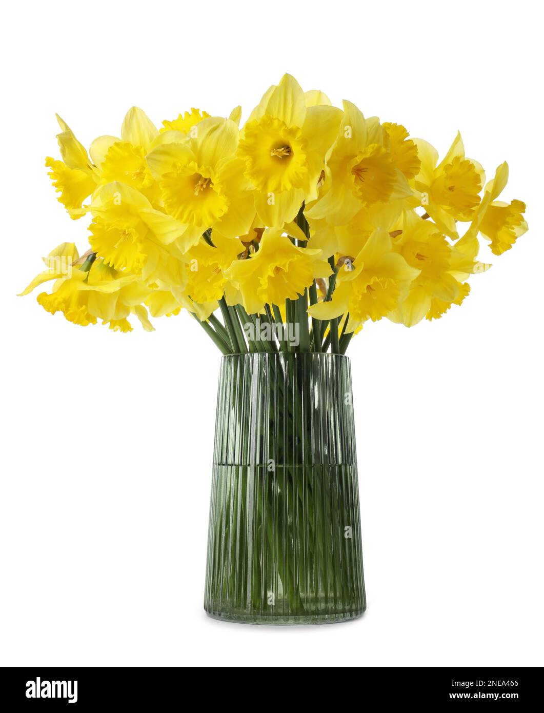 Daffodils in vase hi-res stock photography and images - Alamy