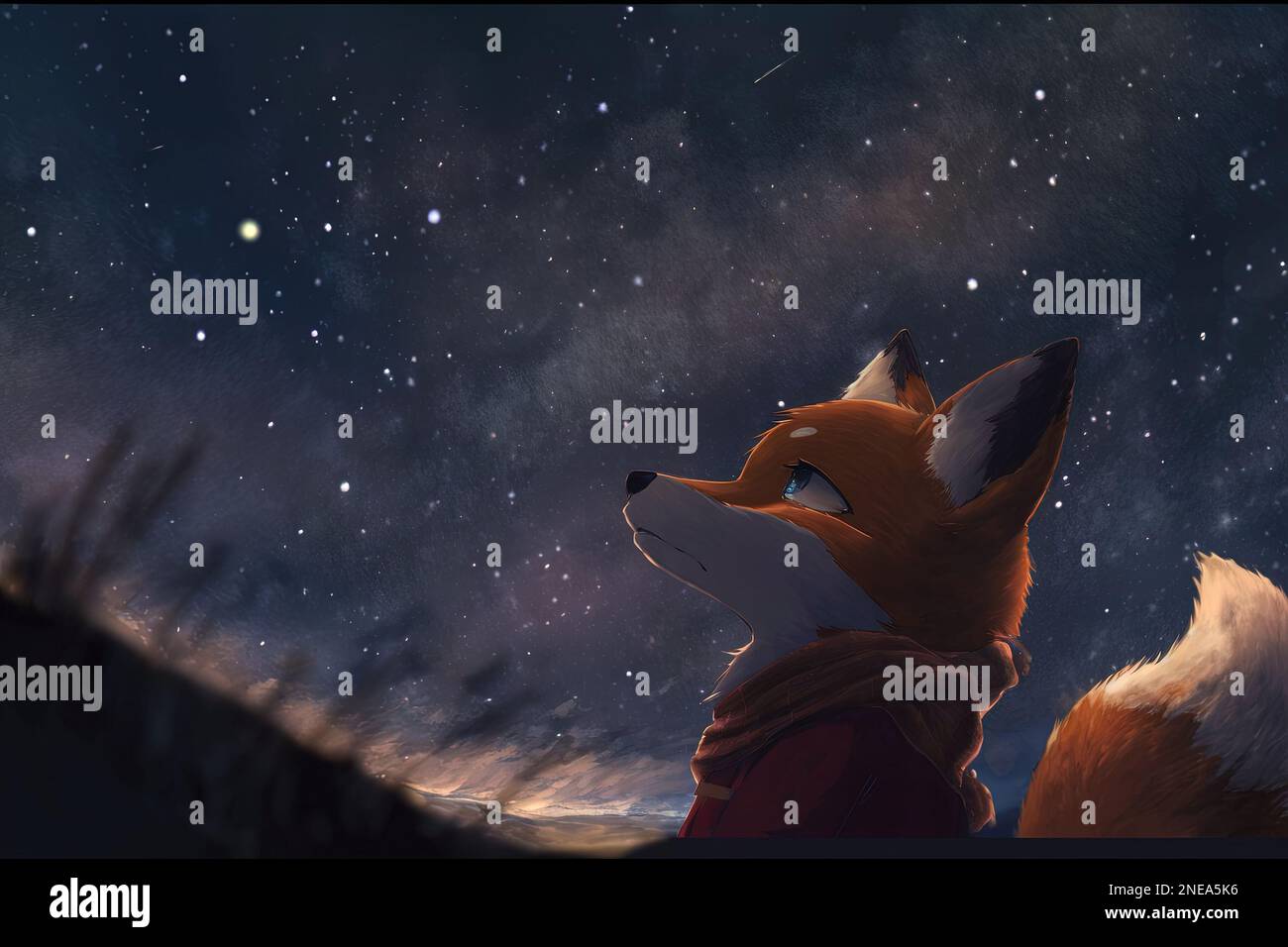 Fox and starry night hi-res stock photography and images - Alamy