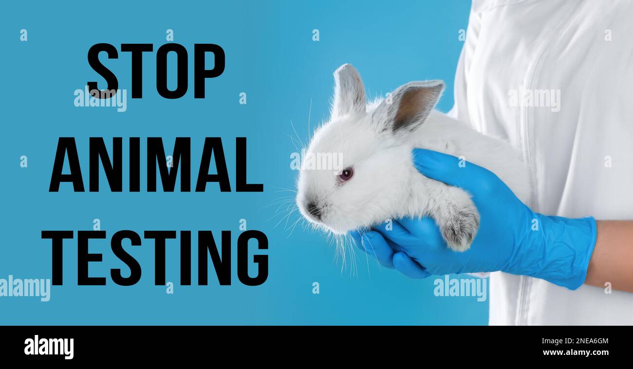 STOP ANIMAL TESTING. Scientist holding rabbit on blue background ...