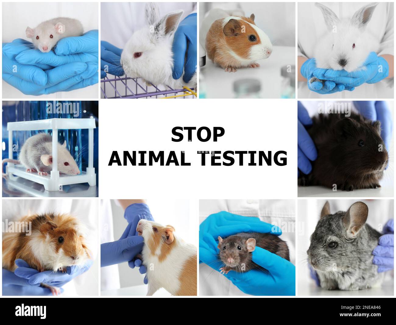 Vaccination people collage Cut Out Stock Images & Pictures - Alamy