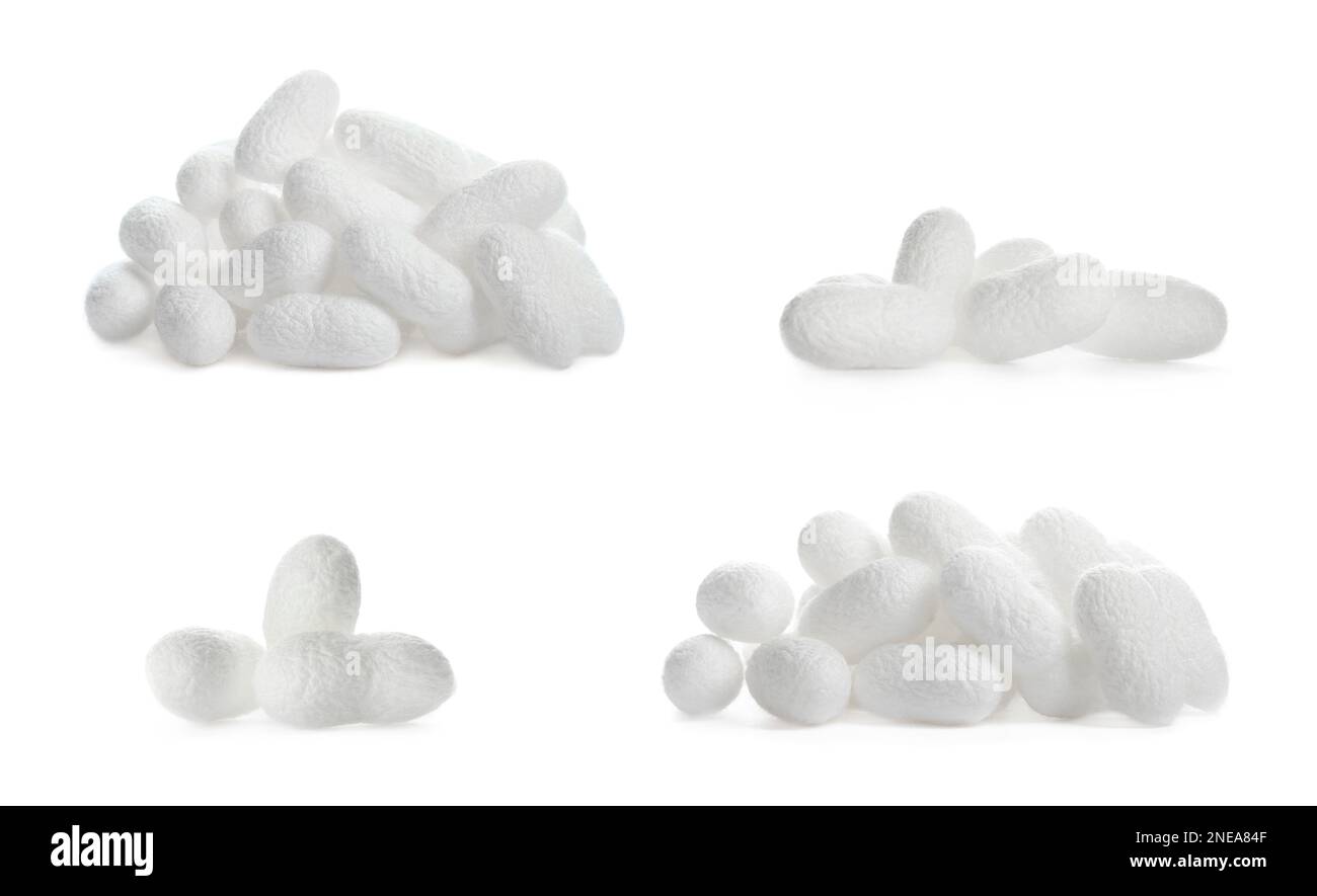 Set with natural silkworm cocoons on white background Stock Photo - Alamy