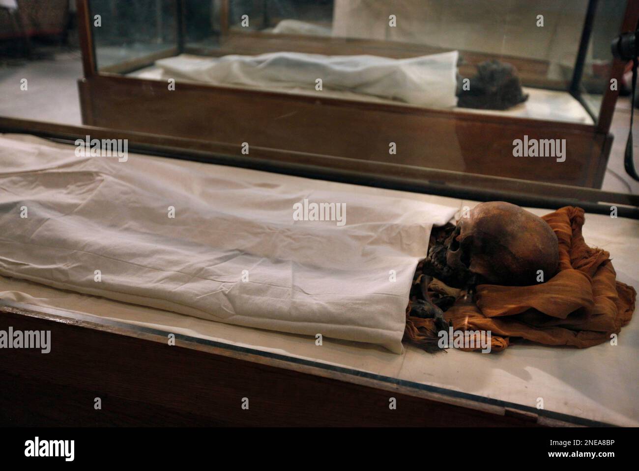 The two mummies of King Tut's, grandmother Queen Tiye in the background ...