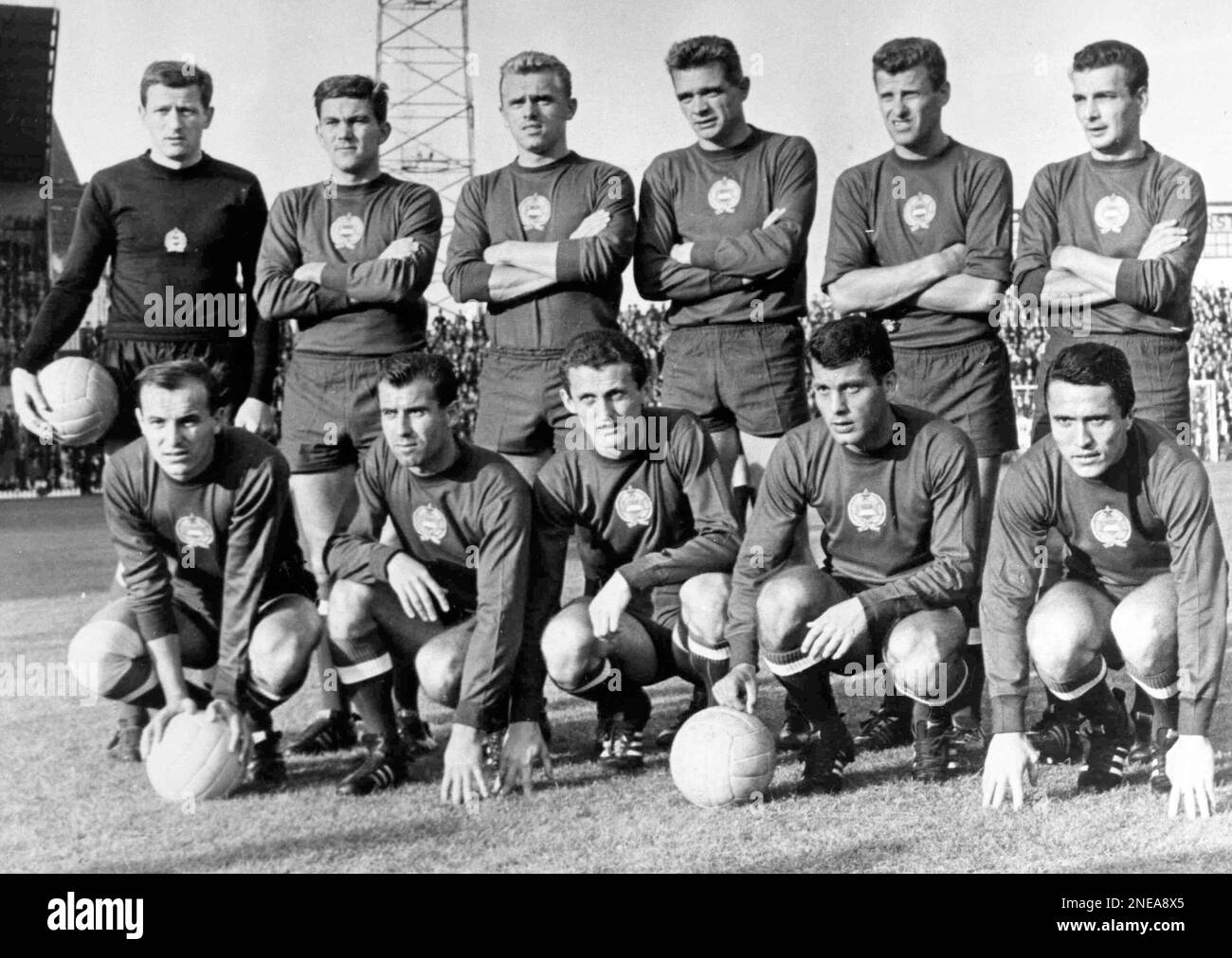 The Hungarian team pose for photographers before the start of their ...