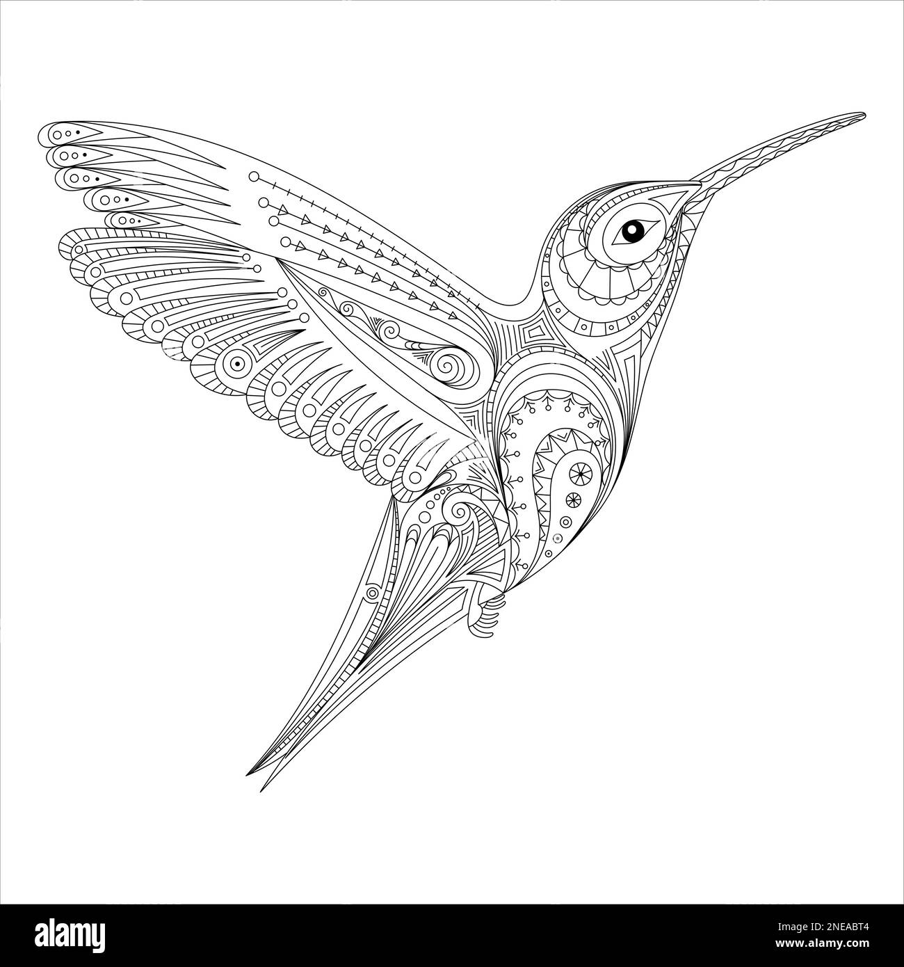 Zentangle Hummingbird Exquisite Zentangle Mandala With Hummingbird