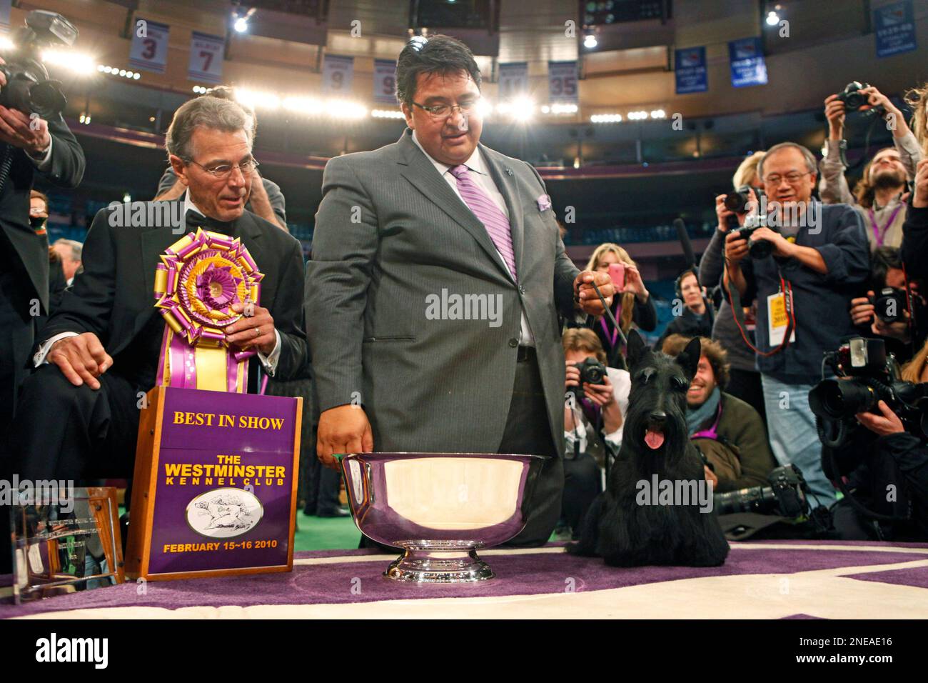 Sadie, a Scottish terrier, is photographed with her handler, Gabriel ...