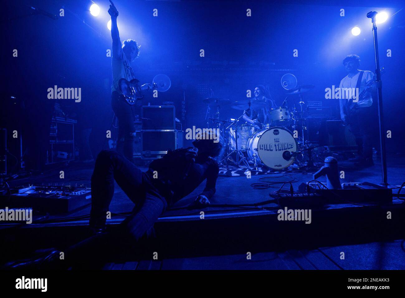 The wild things live concert hi-res stock photography and images - Alamy