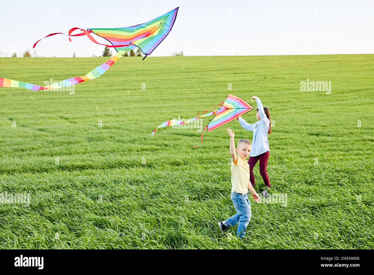 Happy children launch a kite in the field. Little boy and girl on ...