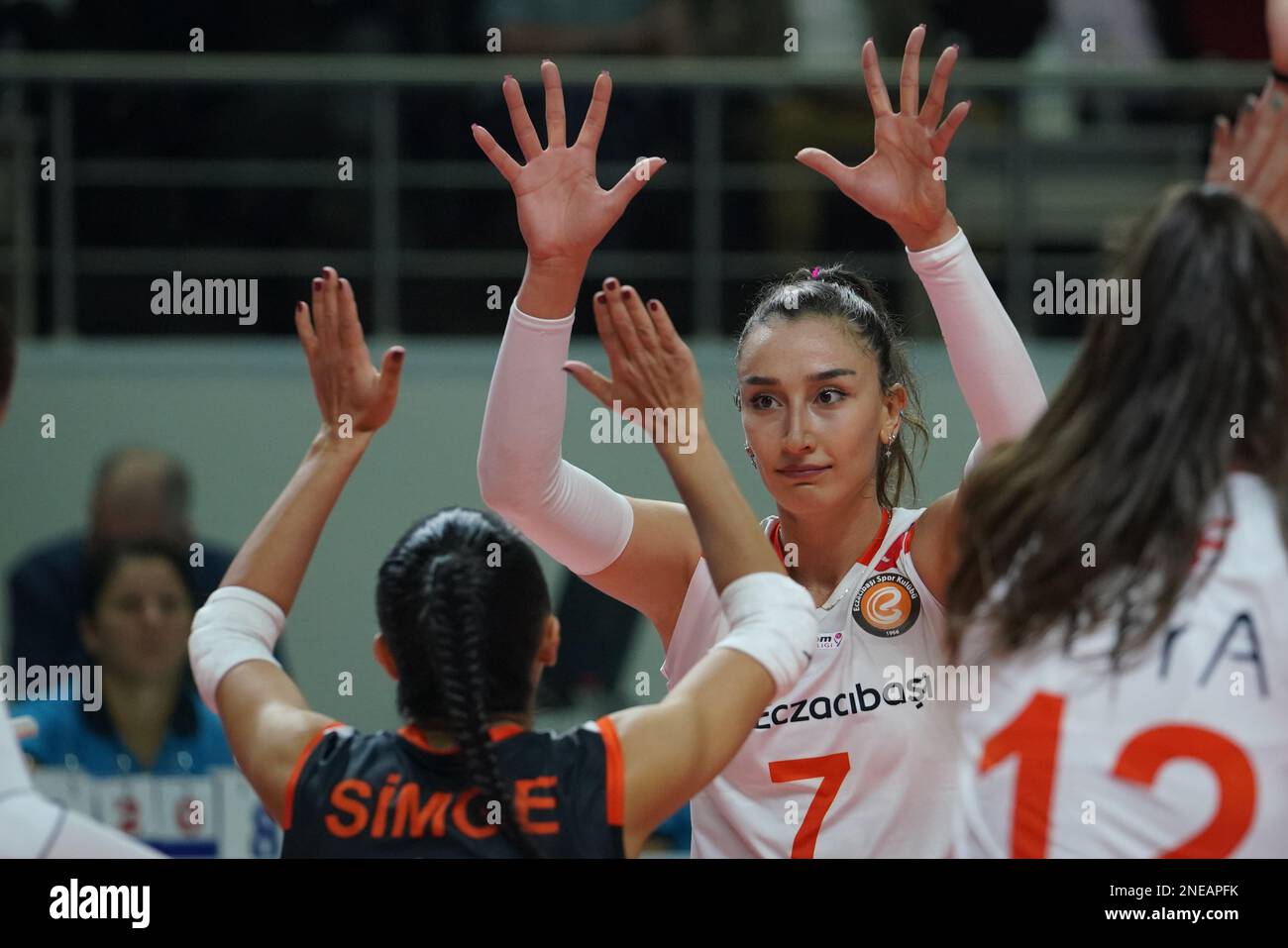 ISTANBUL, TURKIYE - NOVEMBER 02, 2022: Hande Baladin in Fenerbahce Opet ...