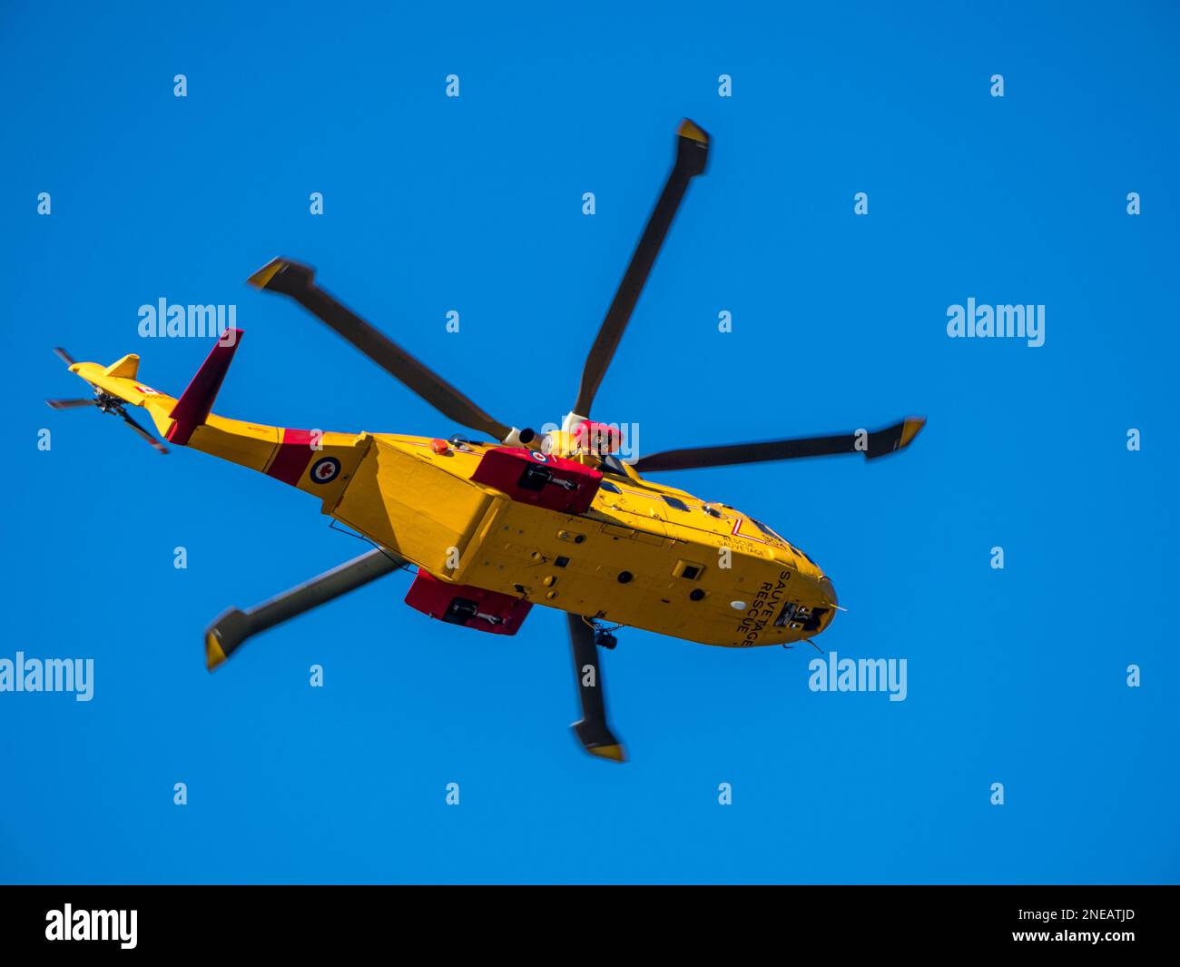 Royal Canadian Airforce Helicopter flying over Buttle Lake on Vancouver ...