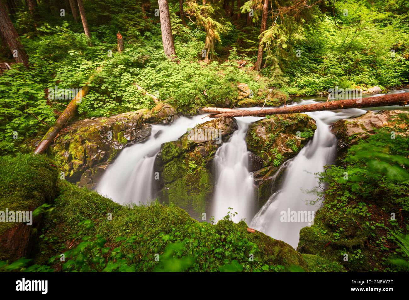 Sol Duc Falls in Olympic National Park, Washington, USA Stock Photo - Alamy