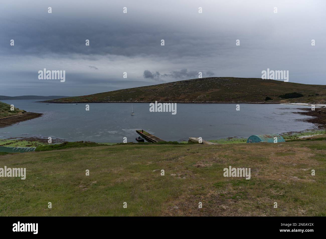West Point Island - Falklands Islands Stock Photo - Alamy
