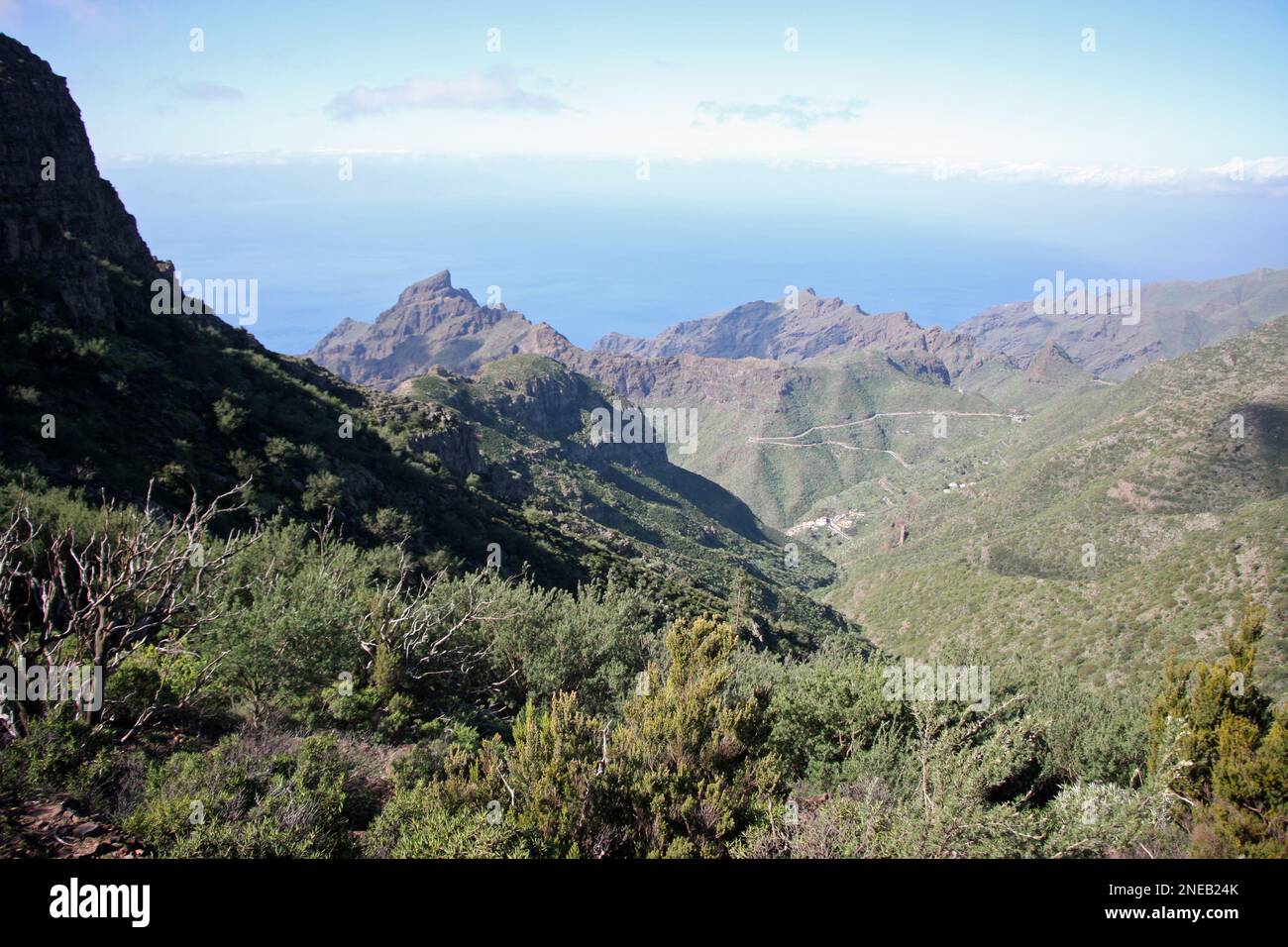 View from the top of Masca gorge Tenerife Canary Islands Stock Photo ...