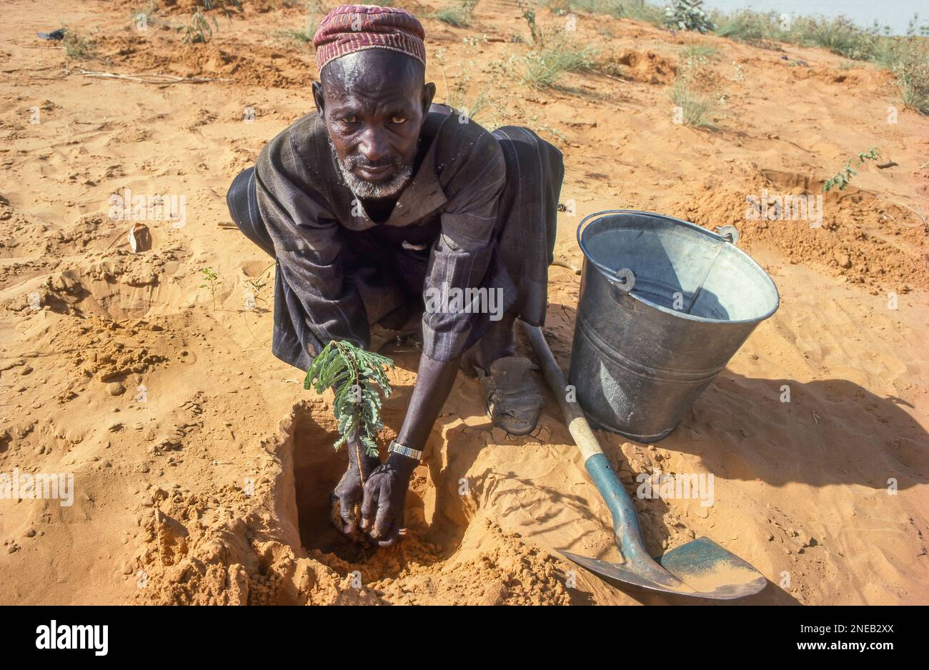 Sahel desertification hi-res stock photography and images - Alamy