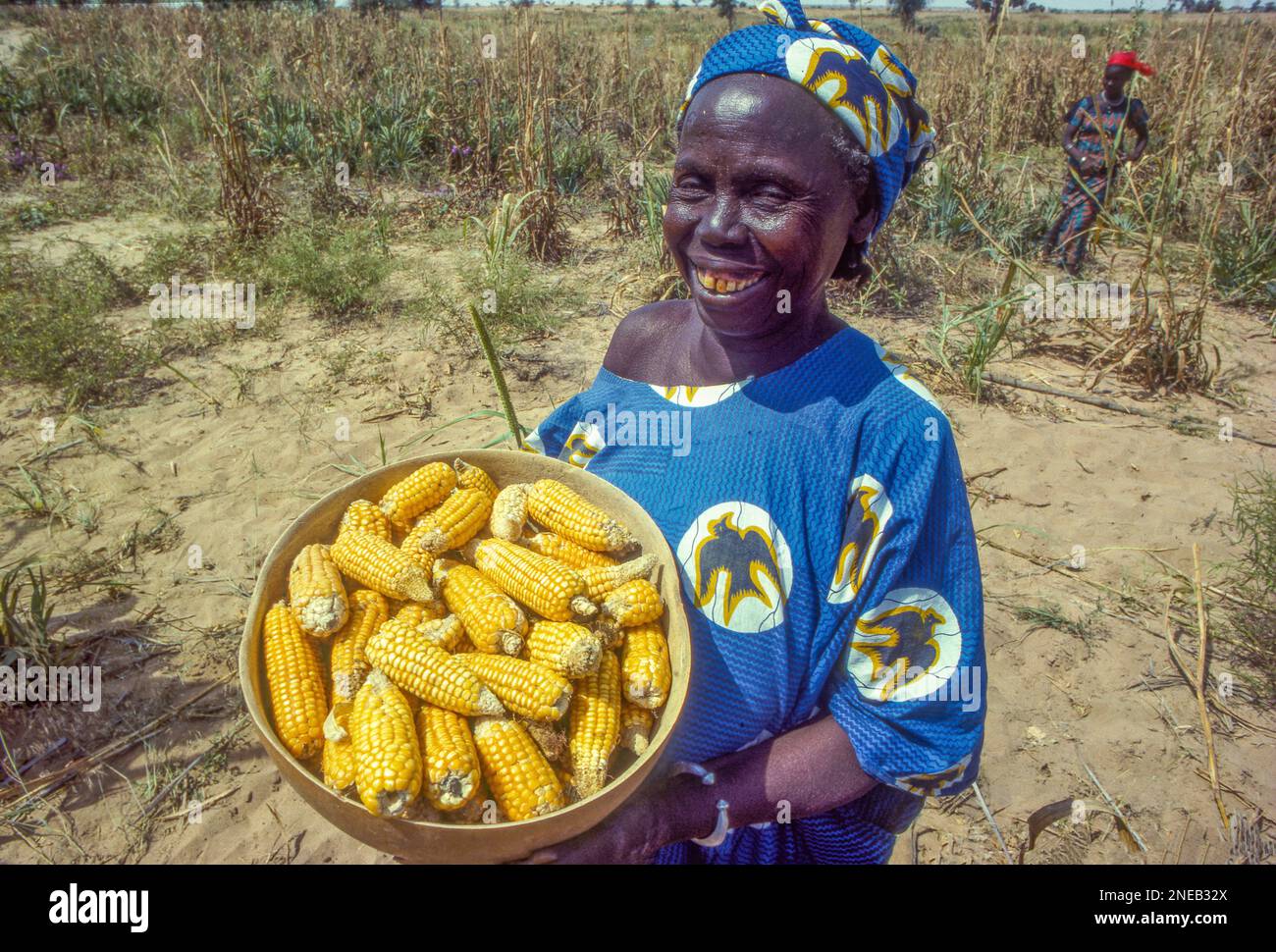 Niger - Woman with corn harvest near Balleyara village Stock Photo - Alamy