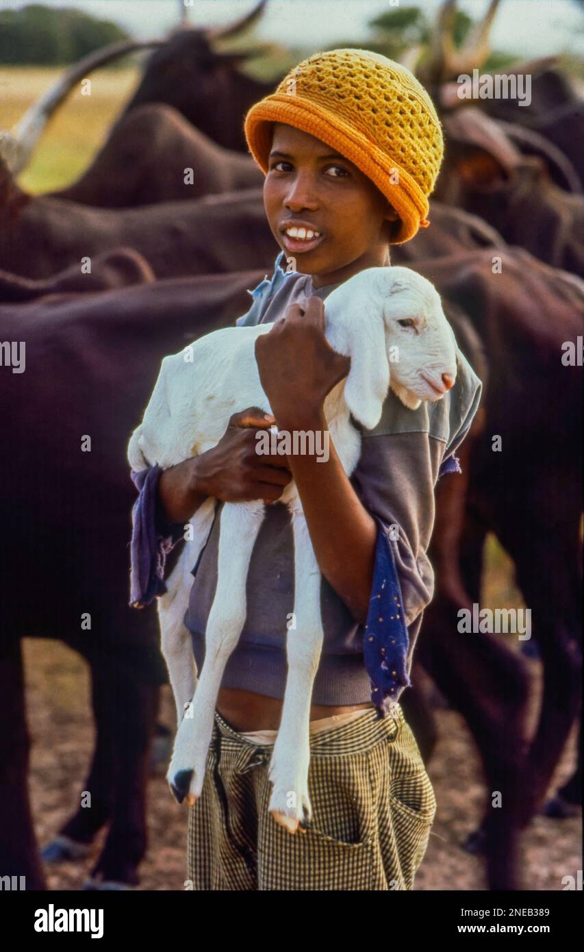Niger, shepherd boy holding a young lamb Stock Photo - Alamy