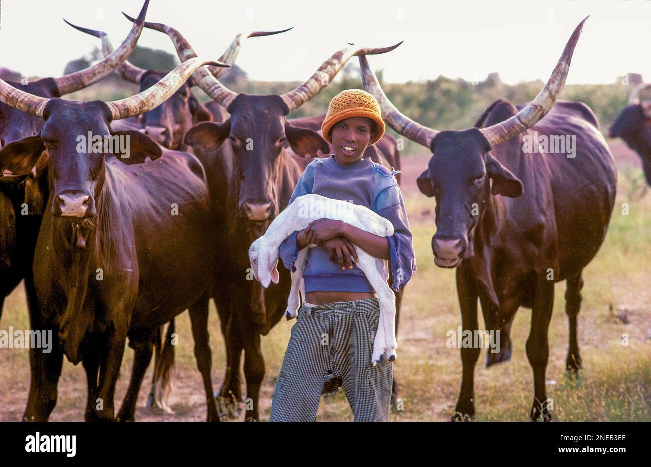Niger, sheppard boy holding a young lamb Stock Photo - Alamy