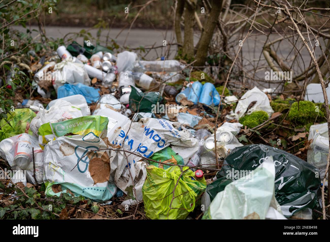 Litter thrown out in a woodland area in a layby on a roadside, Cumbria ...