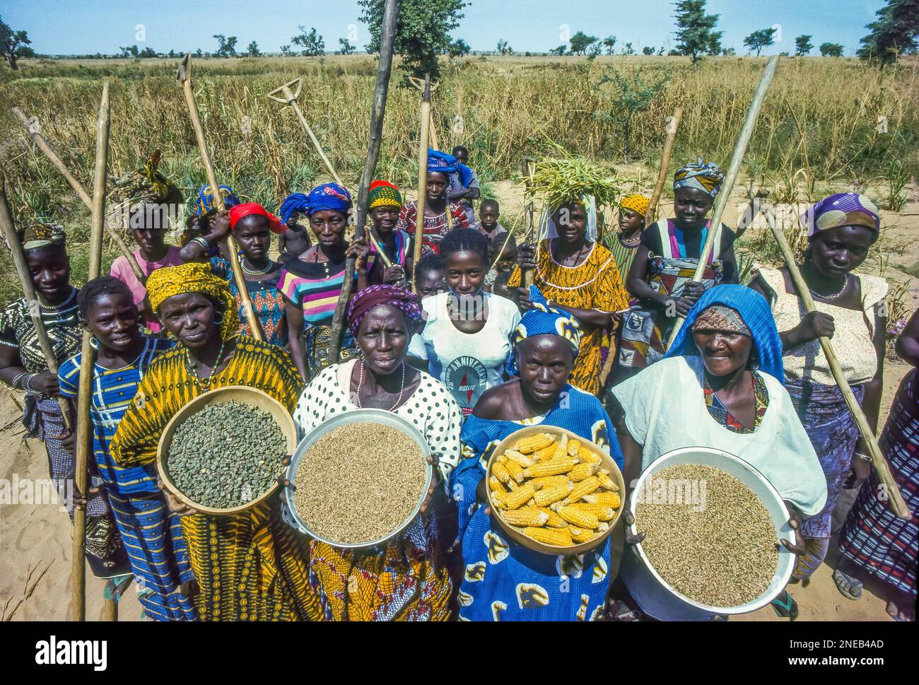 Niger, a female farmers cooperative show the herbs and corn they ...