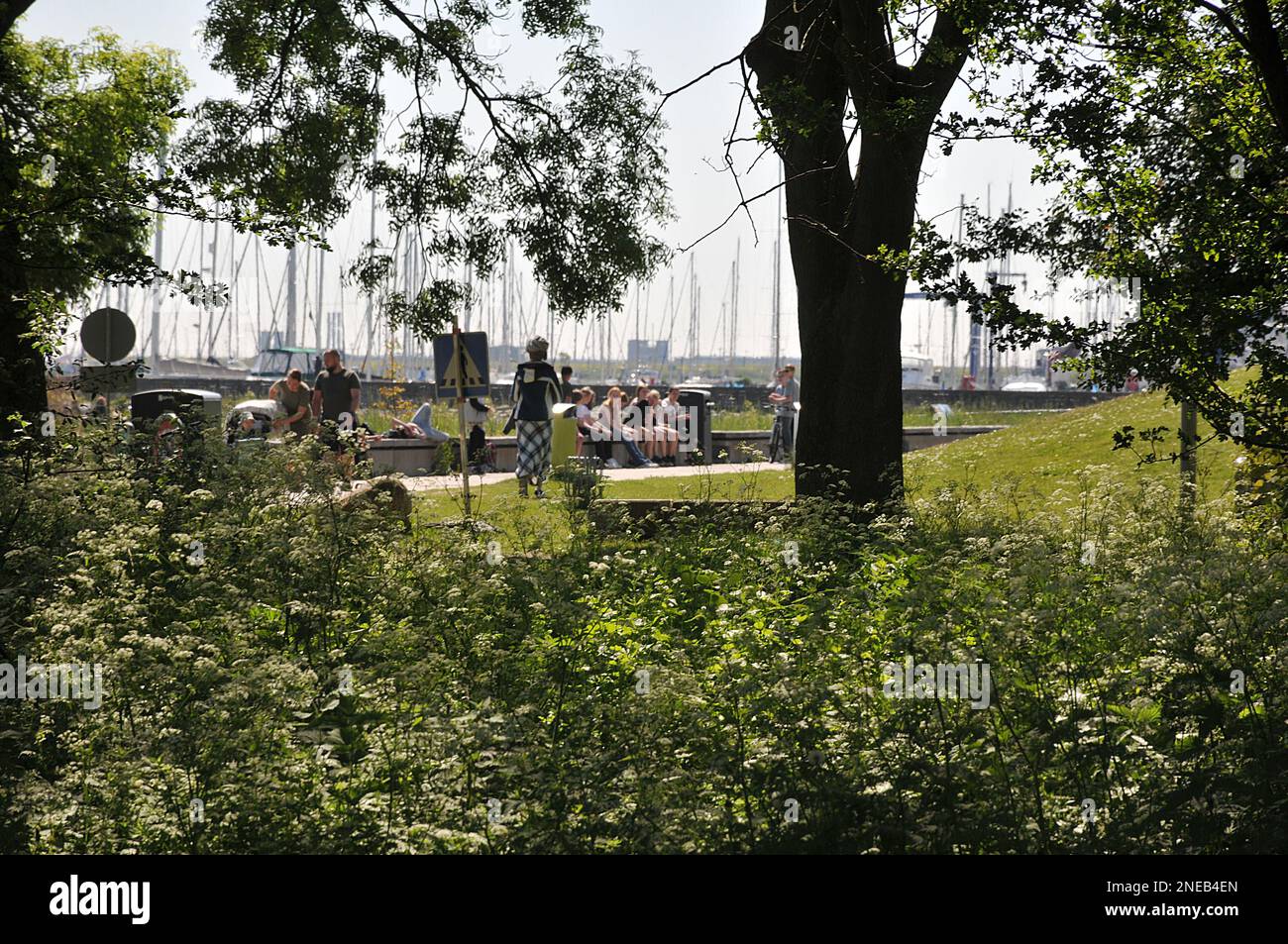 Copenhagen,Denmark, 26.May.2020. /People enjoy summer day on Amager ...