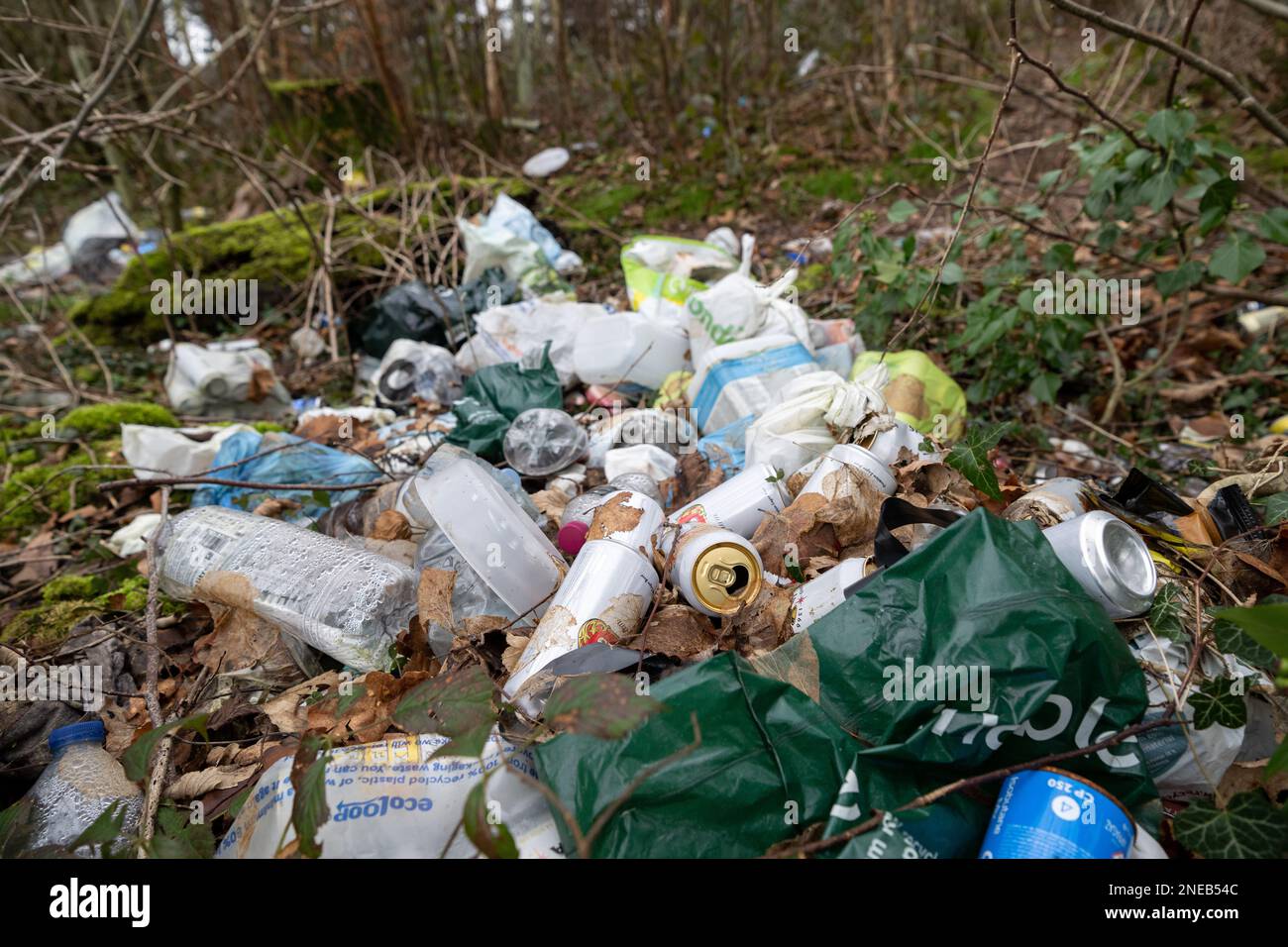 Litter thrown out in a woodland area in a layby on a roadside, Cumbria ...