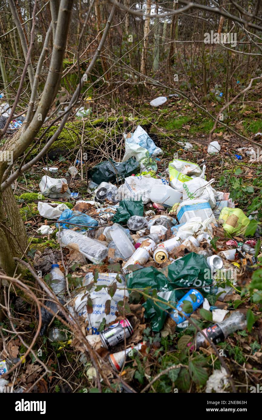 Litter thrown out in a woodland area in a layby on a roadside, Cumbria ...