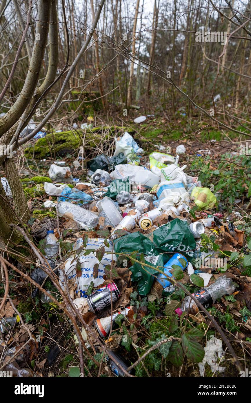 Litter thrown out in a woodland area in a layby on a roadside, Cumbria ...